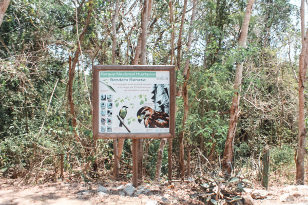 Cacaluta Bay: My Beach Paradise in Oaxaca, Mexico – No Hurry To Get Home