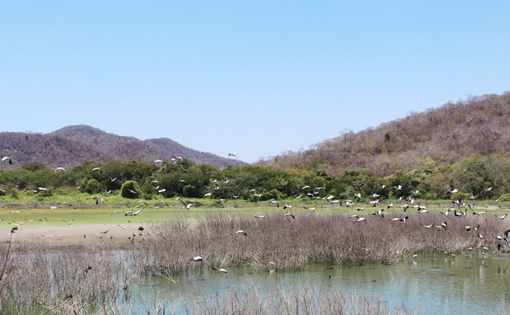Cacaluta Bay: My Beach Paradise in Oaxaca, Mexico – No Hurry To Get Home