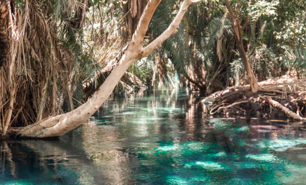 6 Fun Things to do in Moshi After Climbing Kilimanjaro