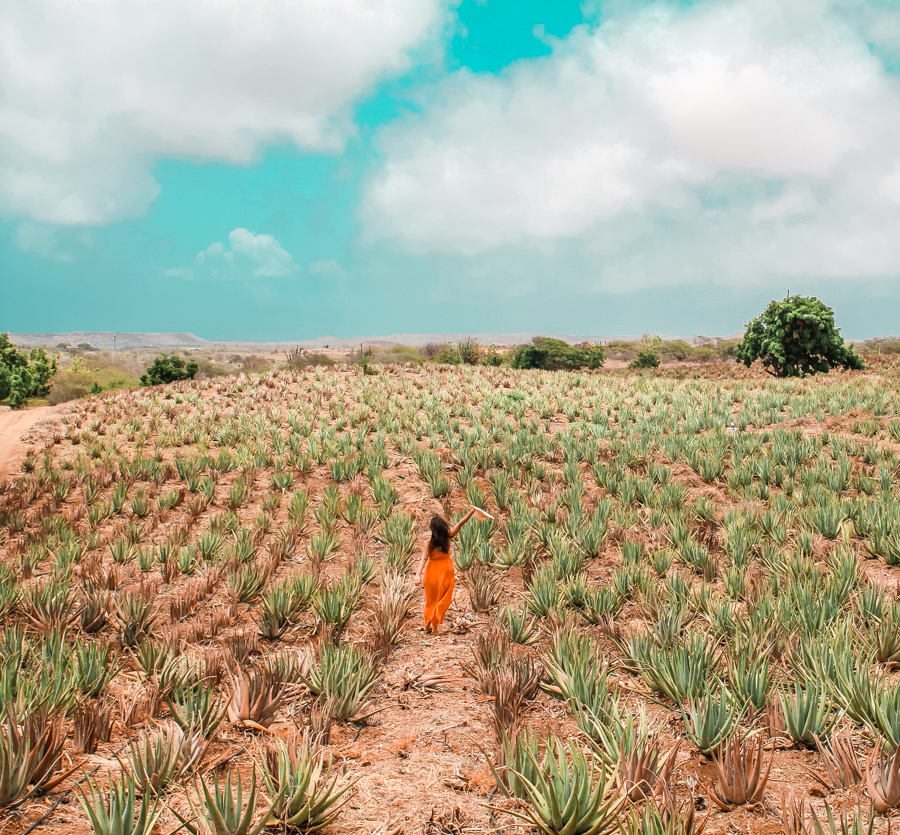 What To Pack For Curaçao? The Ultimate Packing Guide To Paradise - No ...