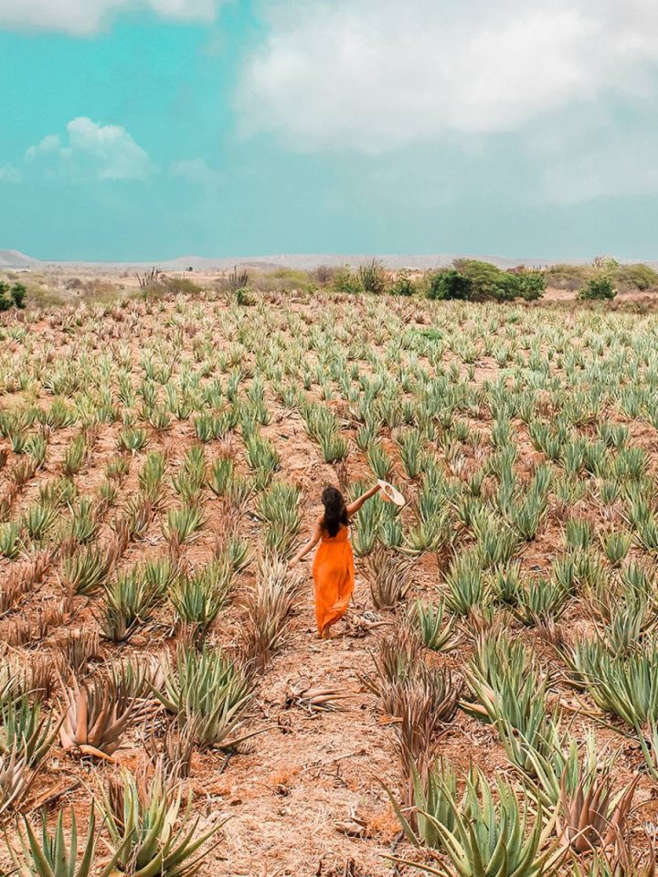 Is Curacao Worth Visiting? Here's Why You Will Fall in Love With the ...