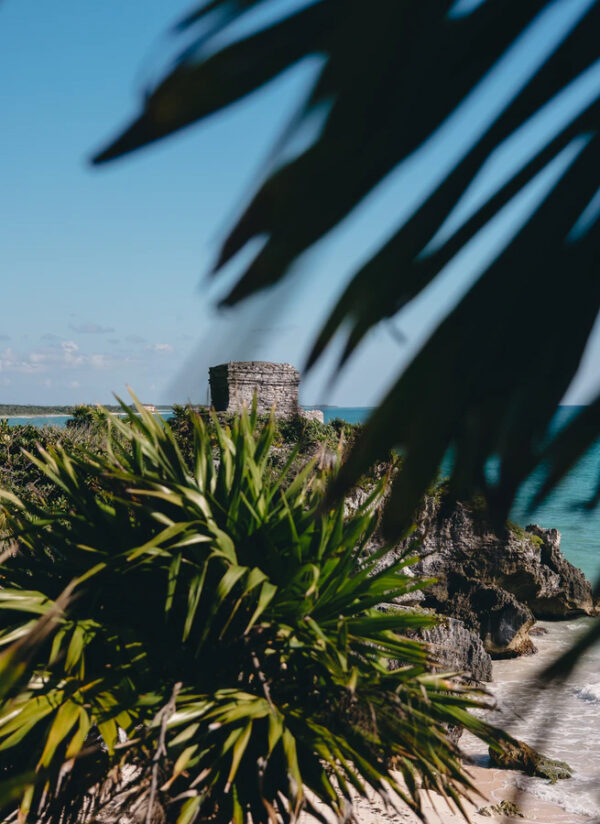 Incredible Things To Do In Tulum - No Hurry To Get Home