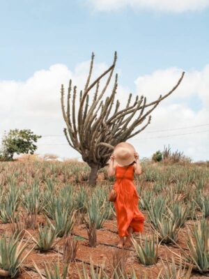 18 Wonderful Things to Do in Curacao For the Perfect Itinerary