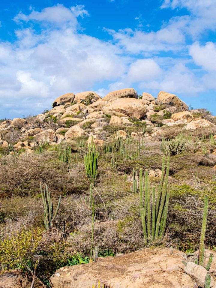 Unique Things to Do in Aruba - No Hurry To Get Home