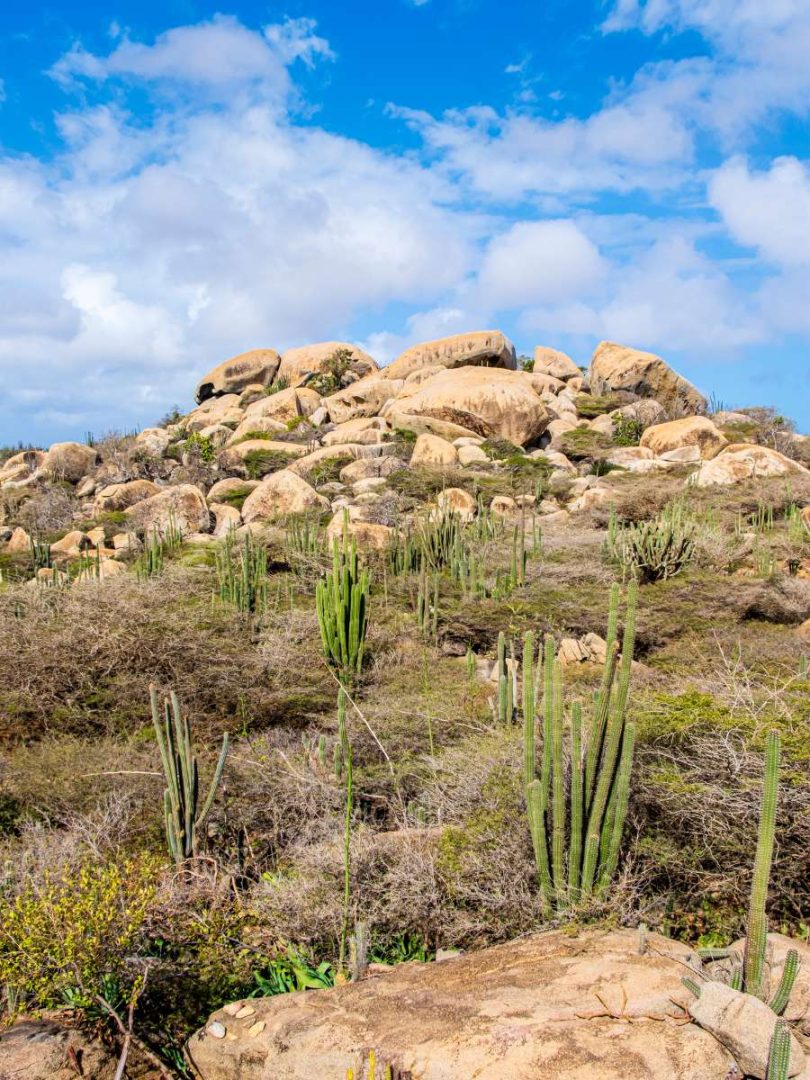 Unique Things to Do in Aruba - No Hurry To Get Home