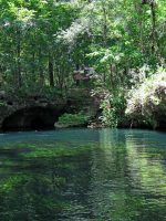 11 Beautiful Hot Springs in Florida You Have to Check Out - No Hurry To ...