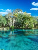 11 Beautiful Hot Springs in Florida You Have to Check Out - No Hurry To ...