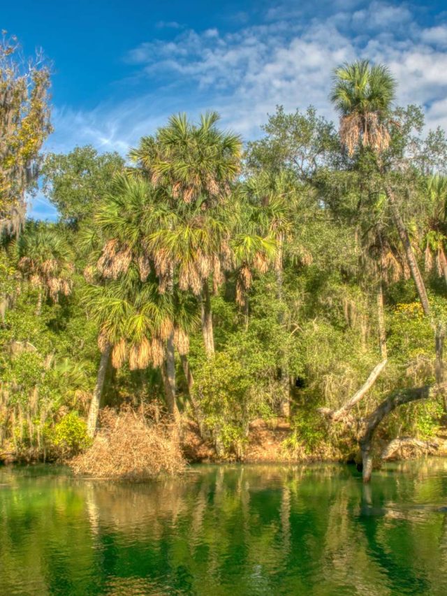 11 Beautiful Hot Springs in Florida You Have to Check Out - No Hurry To ...
