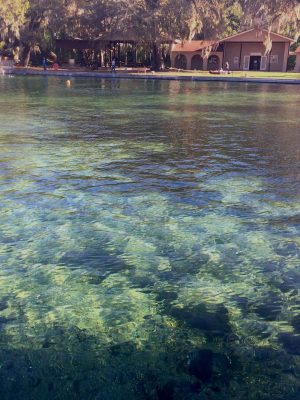 11 Beautiful Hot Springs in Florida You Have to Check Out - No Hurry To ...