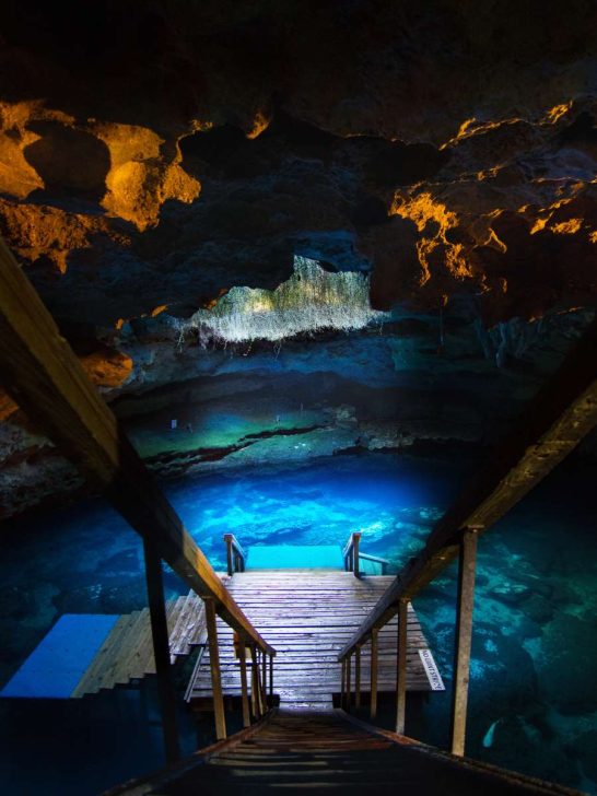 11 Beautiful Hot Springs in Florida You Have to Check Out - No Hurry To ...