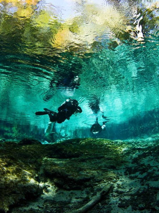 11 Beautiful Hot Springs in Florida You Have to Check Out - No Hurry To ...