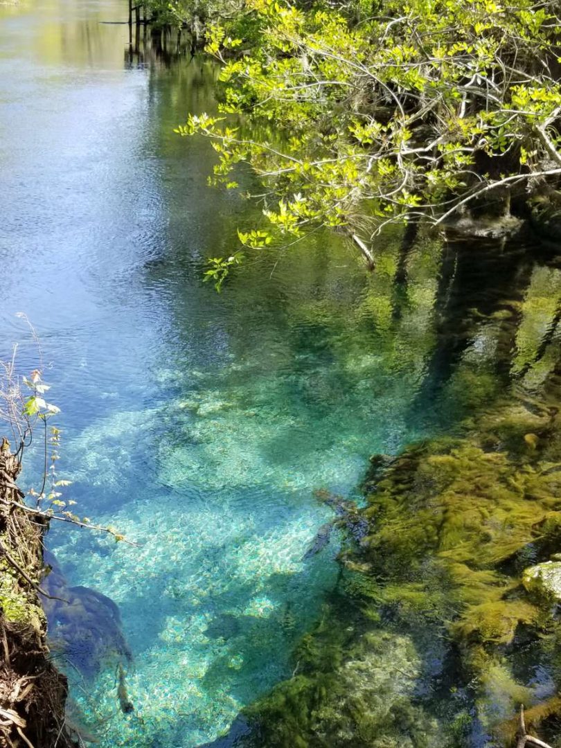 11 Beautiful Hot Springs in Florida You Have to Check Out - No Hurry To ...