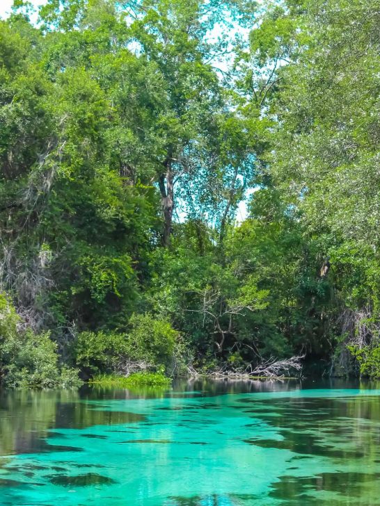 11 Beautiful Hot Springs in Florida You Have to Check Out - No Hurry To ...