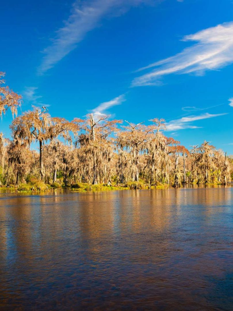 11 Beautiful Hot Springs in Florida You Have to Check Out - No Hurry To ...