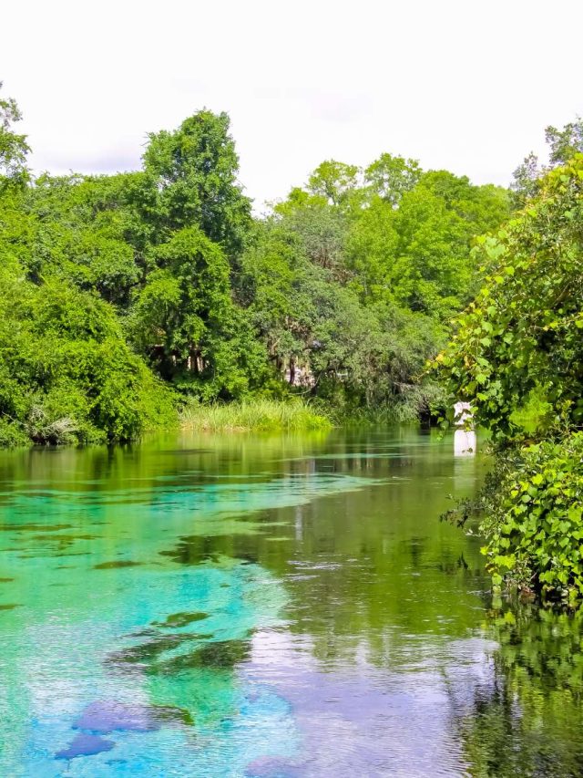 11 Beautiful Hot Springs in Florida You Have to Check Out - No Hurry To ...