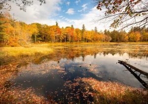 34 East Coast Fall Vacations for the Perfect Autumn Escape - No Hurry ...