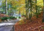 Autumn in Switzerland: A Guide to the Best Places to See Fall Foliage ...