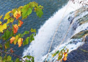 Upstate New York in the Fall: A Quick Guide to Autumn Adventures - No ...