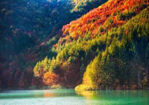 Upstate New York in the Fall: A Quick Guide to Autumn Adventures - No ...