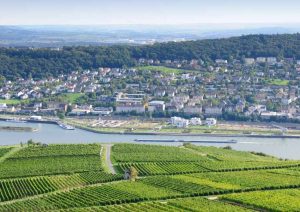 7 Best Wine Regions in Germany You May Have Never Heard Of! - No Hurry ...