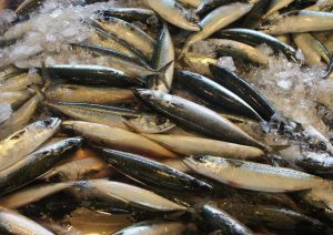 Autumn Food in Japan: 11 Delicious Seasonal Dishes to Try - No Hurry To ...