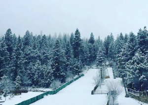 Snow in Mexico: Yes, it Does Snow in Mexico and These are the Best ...