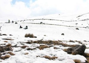 Snow in Mexico: Yes, it Does Snow in Mexico and These are the Best ...