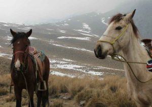 Snow in Mexico: Yes, it Does Snow in Mexico and These are the Best ...